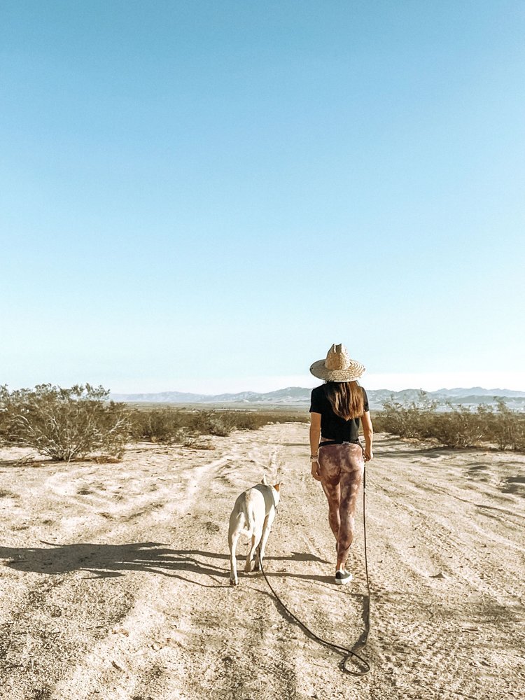 A FETCHIN GOOD TIME - Updated August 2025 - 30 Photos - Twentynine ...