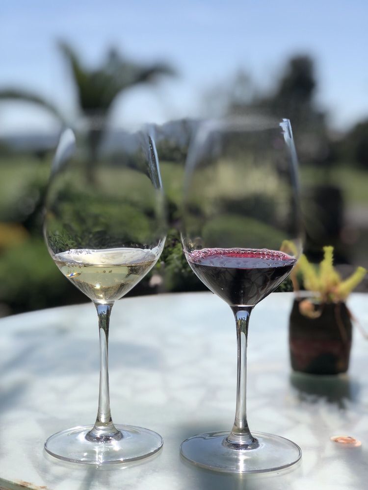 HAGAFEN CELLARS - 425 Photos & 466 Reviews - Wineries - 4160 Silverado ...