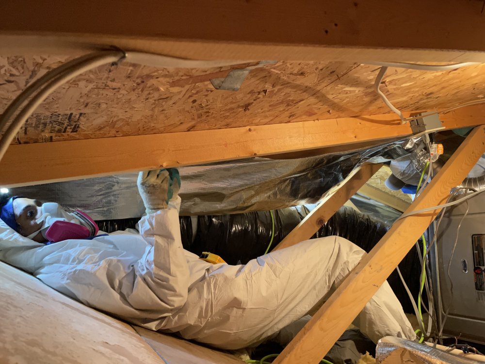 LV ATTIC PROS - Updated December 2025 - 58 Photos & 16 Reviews - Las ...