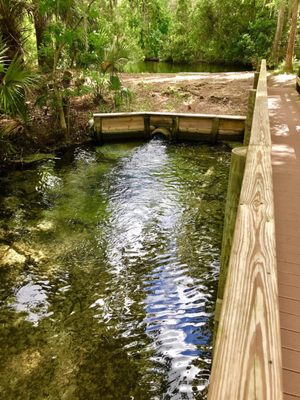 WELAKA STATE PARK - MUD SPRINGS - Updated August 2025 - 10 Photos ...