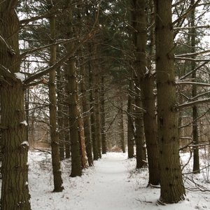 WINGFOOT LAKE STATE PARK - 31 Photos & 12 Reviews - 993 Goodyear Park ...