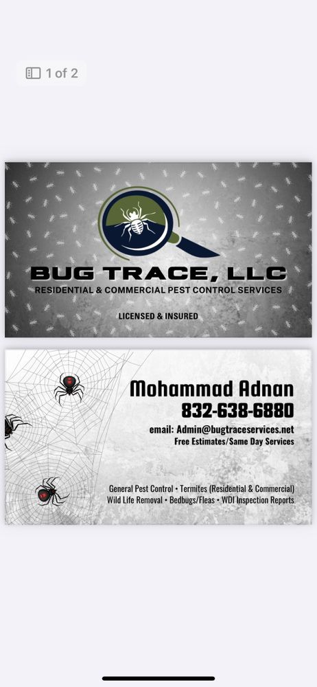 BUG TRACE - Updated December 2025 - 10 Photos - Houston, Texas - Pest ...