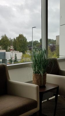 IMAGING ASSOCIATES - Updated August 2024 - 12 Photos & 17 Reviews ...