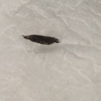 LAS PALMITAS FRUIT - Updated June 2024 - 215 Photos & 288 Reviews ...