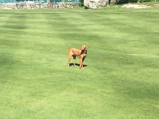 BASS ROCKS GOLF CLUB - Updated July 2025 - 27 Beach Rd, Gloucester ...