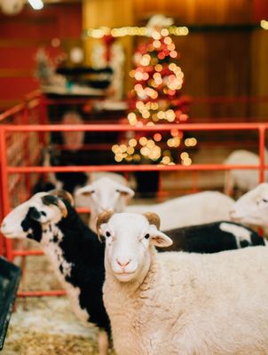 FAULKNER’S RANCH EVENT VENUE - Updated December 2025 - 126 Photos & 43 ...