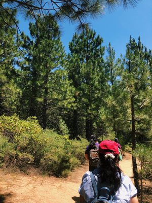 BASSI FALLS - Updated August 2024 - 213 Photos & 36 Reviews - El Dorado ...