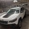 LITHIA CHRYSLER JEEP OF RENO - Updated August 2025 - 104 Photos & 322 ...