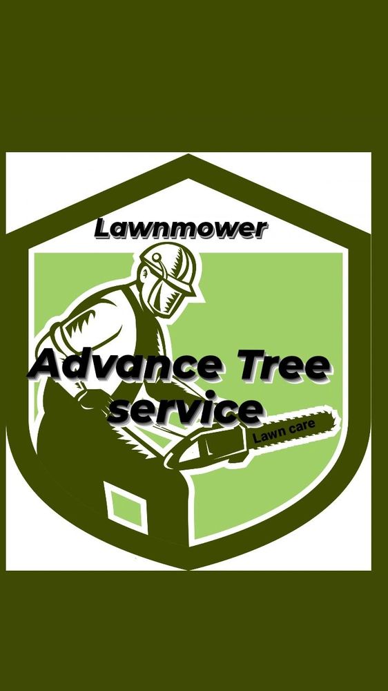 ADVANCE TREES SERVICE - Updated July 2025 - 31 Photos - Ontario ...