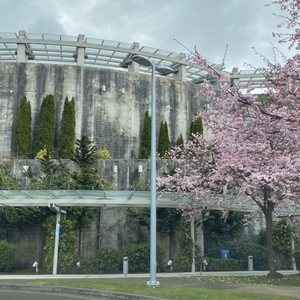 MULTICARE GOOD SAMARITAN HOSPITAL - 26 Photos & 149 Reviews - Hospitals ...