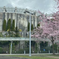 MULTICARE GOOD SAMARITAN HOSPITAL - 26 Photos & 171 Reviews - 401 15th ...