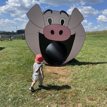 GAVER TREE FARM & PUMPKIN PATCH - Updated October 2025 - 283 Photos ...