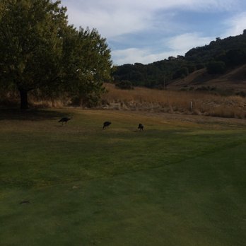 INDIAN VALLEY GOLF CLUB - Updated June 2025 - 70 Photos & 80 Reviews ...