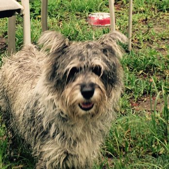 MONDO PET USA - Updated December 2025 - 54 Photos & 14 Reviews - 13802 ...