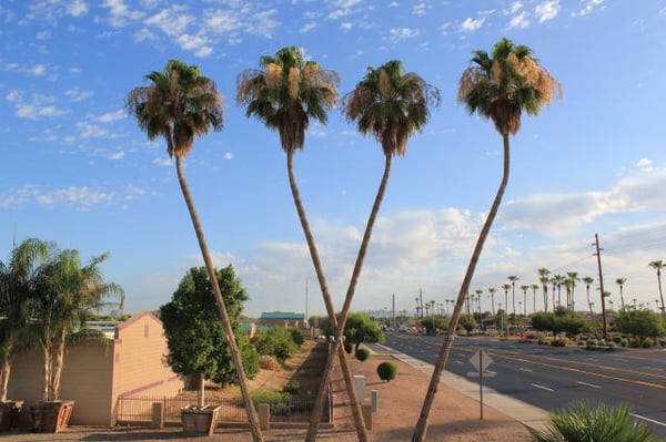 TREELAND NURSERIES - Updated October 2025 - 65 Photos & 77 Reviews ...