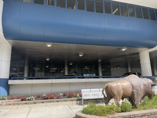 BUFFALO GENERAL MEDICAL CENTER - Updated August 2025 - 31 Photos & 67 ...