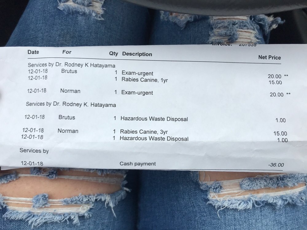 SOUTH COUNTY VETERINARY HOSPITAL - 18 Photos & 51 Reviews ...