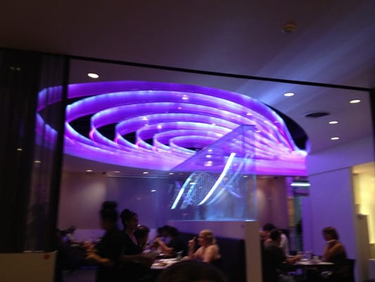 SPRING SUSHI - Updated January 2026 - 50 Photos & 116 Reviews - 1508 ...