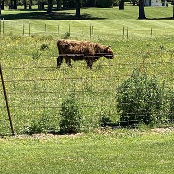 SNOQUALMIE FALLS GOLF COURSE - Updated December 2025 - 29 Photos & 32 ...