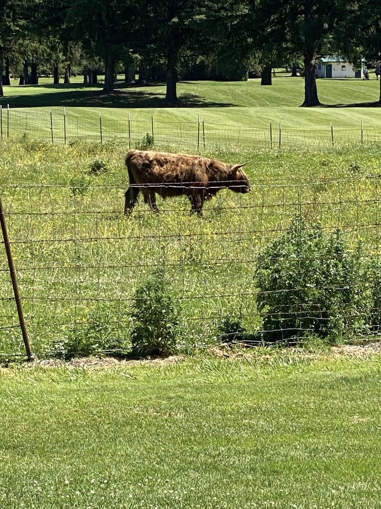 SNOQUALMIE FALLS GOLF COURSE - Updated December 2025 - 29 Photos & 32 ...