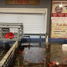 JAMES HOOK & CO - Updated October 2025 - 2830 Photos & 1892 Reviews ...