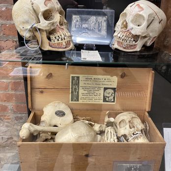 THE BONE MUSEUM - Updated September 2025 - 27 Photos & 15 Reviews - 255 ...