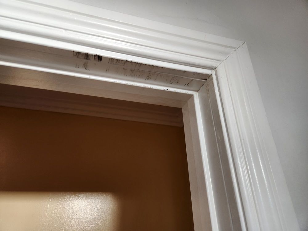 ROSA BELL MOTEL - Updated December 2024 - 5606 S Western Ave, Los ...