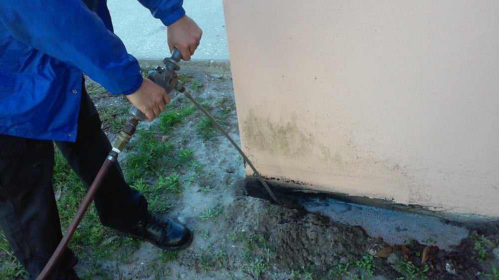 DRIVE-BYE EXTERMINATORS - Updated October 2025 - 22 Reviews - 3444 ...