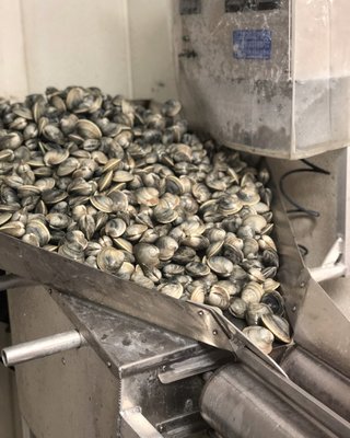 THE CLAM MAN - Updated December 2024 - 39 Photos & 65 Reviews - 15 ...