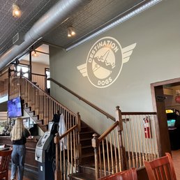 DESTINATION DOGS - Updated November 2025 - 1657 Photos & 1288 Reviews ...