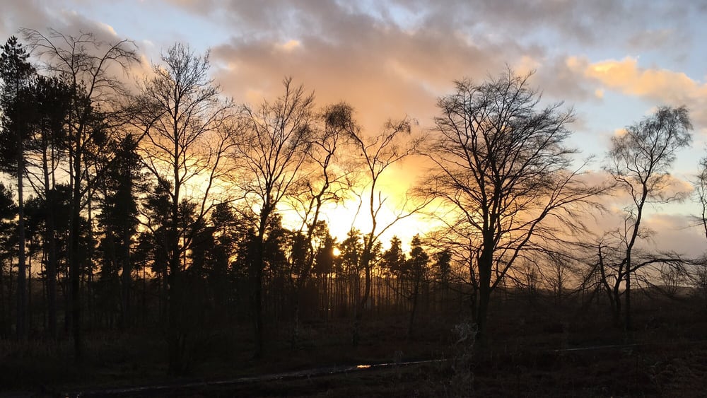 CANNOCK CHASE FOREST - Updated April 2025 - 11 Photos & 10 Reviews ...