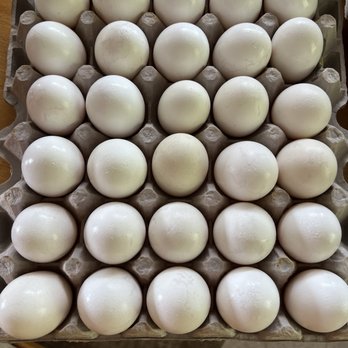 WAIALUA FRESH EGG FARM - Updated January 2025 - 28 Photos & 24 Reviews ...