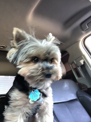 WALMART SUPERCENTER - Updated August 2024 - 15 Reviews - 3401 Freedom ...