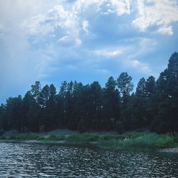 FOOL HOLLOW STATE PARK - Updated June 2025 - 301 Photos & 98 Reviews ...