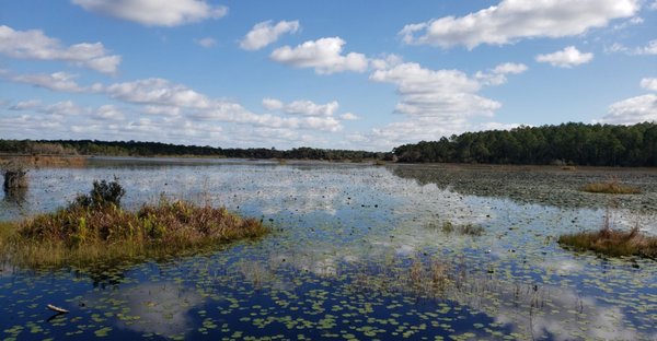 SPLIT OAK FOREST - 52 Photos & 11 Reviews - 12901 Moss Park Rd, Orlando ...