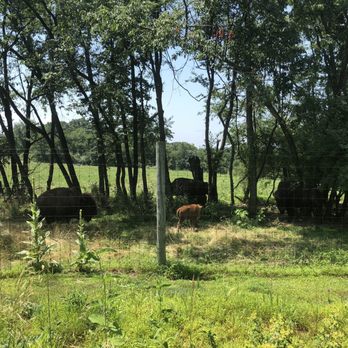 TREXLER NATURE PRESERVE - Updated December 2025 - 68 Photos & 29 ...