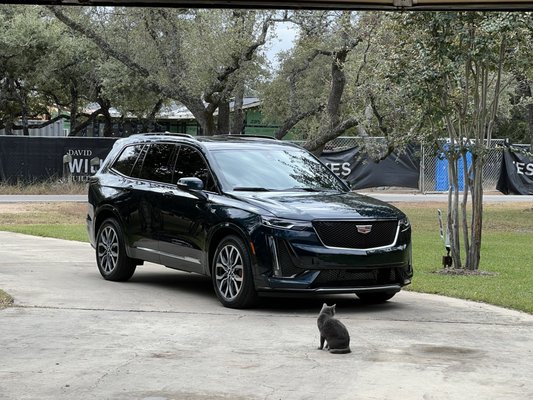 COVERT CADILLAC - Updated December 2025 - 64 Photos & 267 Reviews ...