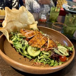 NEON CACTUS - Updated December 2025 - 382 Photos & 298 Reviews - 241 E ...