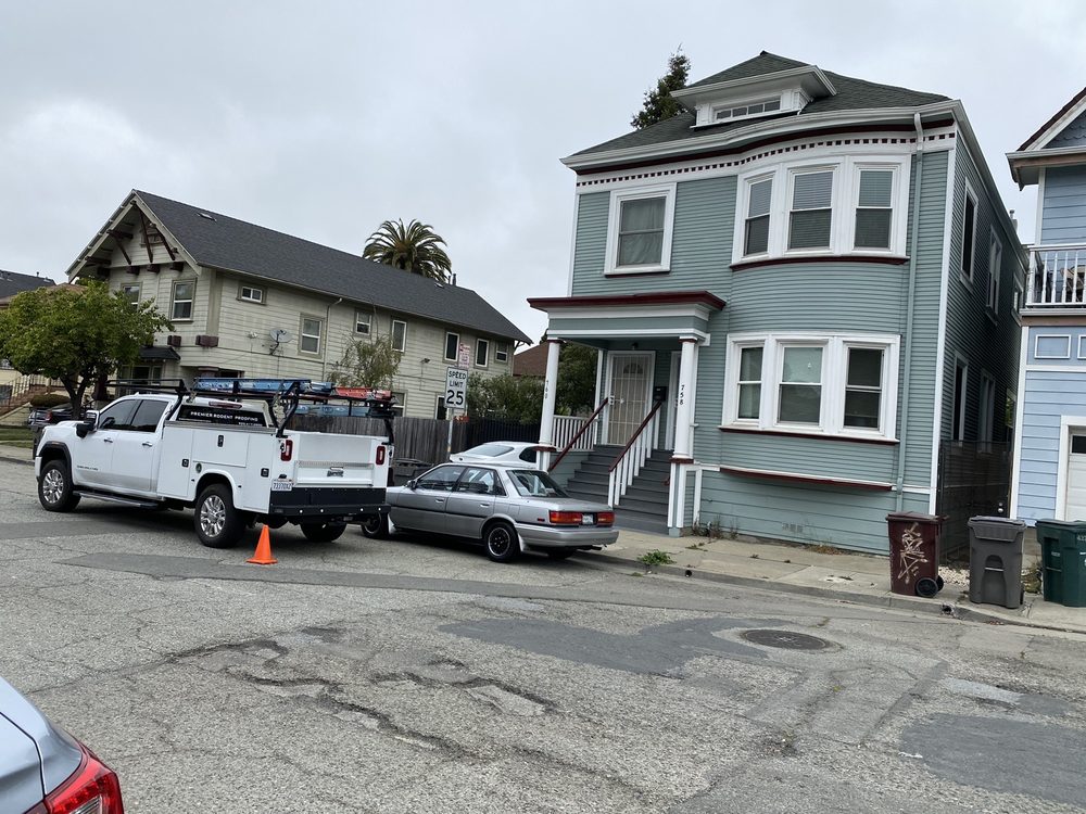 PREMIER RODENT PROOFING - Updated November 2025 - 21 Reviews - 3958 Valley Ave, Pleasanton ...