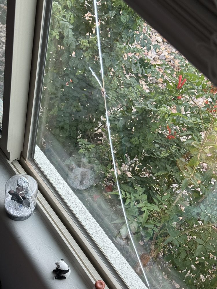 XO WINDOWS - Updated December 2025 - 19 Reviews - 2300 S 51st Ave ...