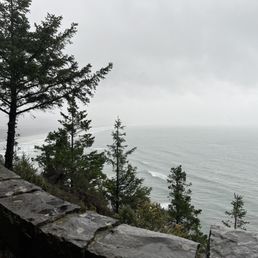 BUTTERCUP - Updated December 2025 - 138 Photos & 189 Reviews - 35915 ...