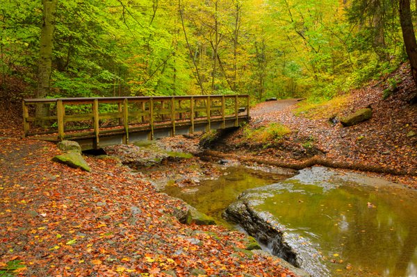 FALL RUN PARK - Updated May 2025 - 95 Photos & 24 Reviews - 187 Falls ...