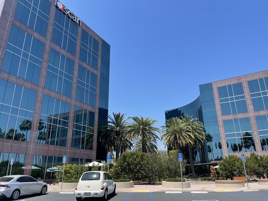 SCAN HEALTH PLAN - Updated December 2025 - 10 Photos & 270 Reviews ...