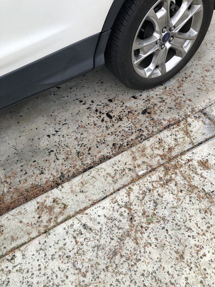 KNOWLES SECURITY - Updated November 2025 - 335 S State College Blvd ...