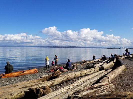 OWEN BEACH - 175 Photos & 44 Reviews - 5605 N Owen Beach Rd, Tacoma ...