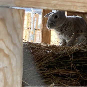 VERTUCCIO FARMS - Updated March 2025 - 286 Photos & 156 Reviews - 4011 ...