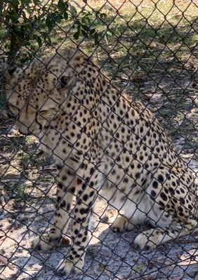 PANTHER RIDGE CONSERVATION CENTER - Updated December 2025 - 317 Photos ...