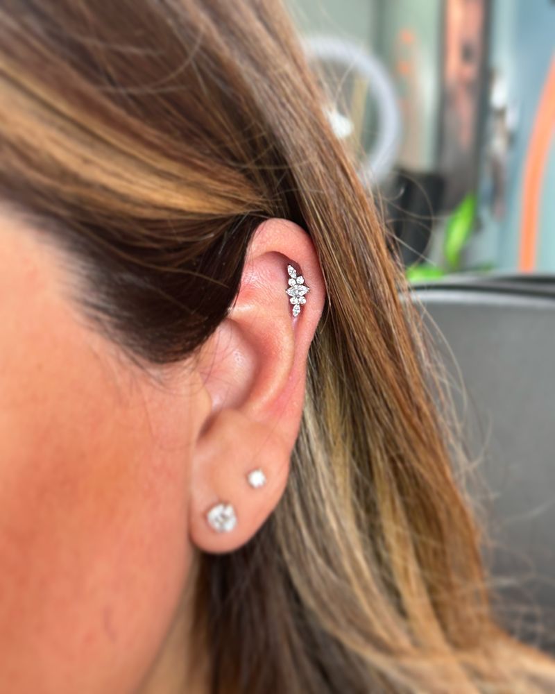 THE PIERCING PARLOR - Updated December 2025 - 146 Photos & 171 Reviews ...