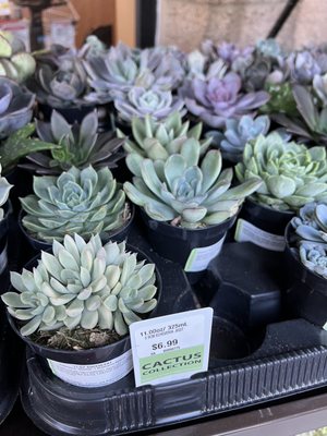 SAFEWAY - Updated December 2025 - 178 Photos & 222 Reviews - 103 ...