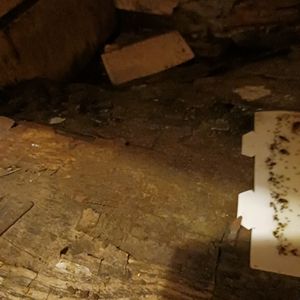 WAVECREST MANAGEMENT - Updated August 2025 - 43 Photos & 106 Reviews ...